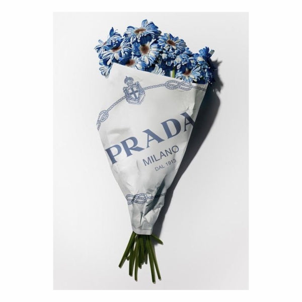 Prada Flowers – CreateSA